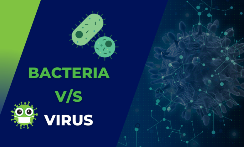 How are viruses different from bacteria apex? – Ncert Solution
